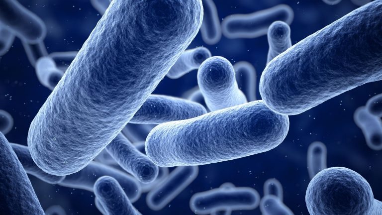 How to Treat Bacteria In the Mouth and Prevent Periodontal Disease